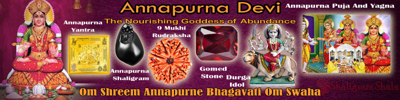 Annapurna Devi: The Nourishing Goddess of Abundance