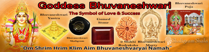 Bhuvaneshwari: The Symbol of Love & Success