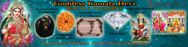 Goddess Kamala Devi: Wealth & Prosperity