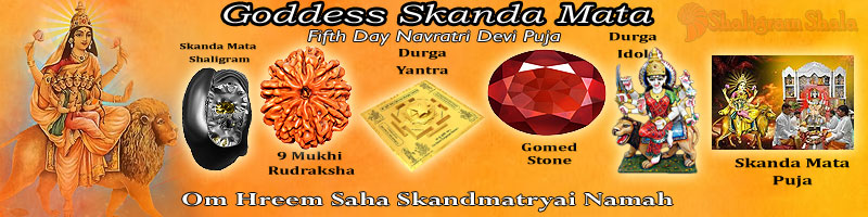 Goddess SkandaMata: Fifth Day Navratri Devi Puja