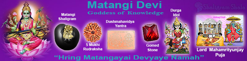 Matangi Devi: Goddess of Knowledge