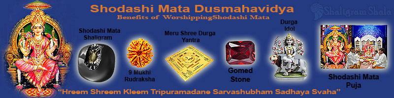 Shodashi Mata Dusmahavidya | Shaligram Shala