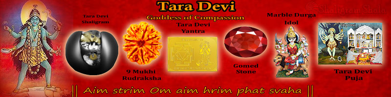 Tara Devi: Goddess of Compassion