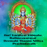 Varahi Devi: The Boar Headed Goddess