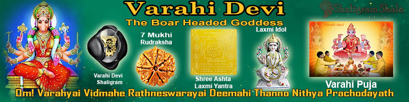Varahi Devi: The Boar Headed Goddess