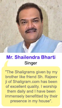 Parad | All About Parad | Significance of Parad | Shaligram Shala