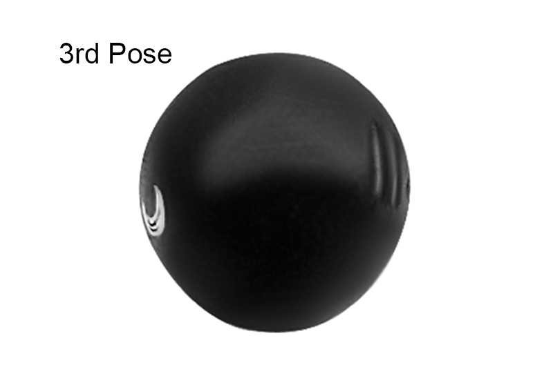 Sacred Jalaja Shila | Shreedhara Shaligram | Shaligram Shala